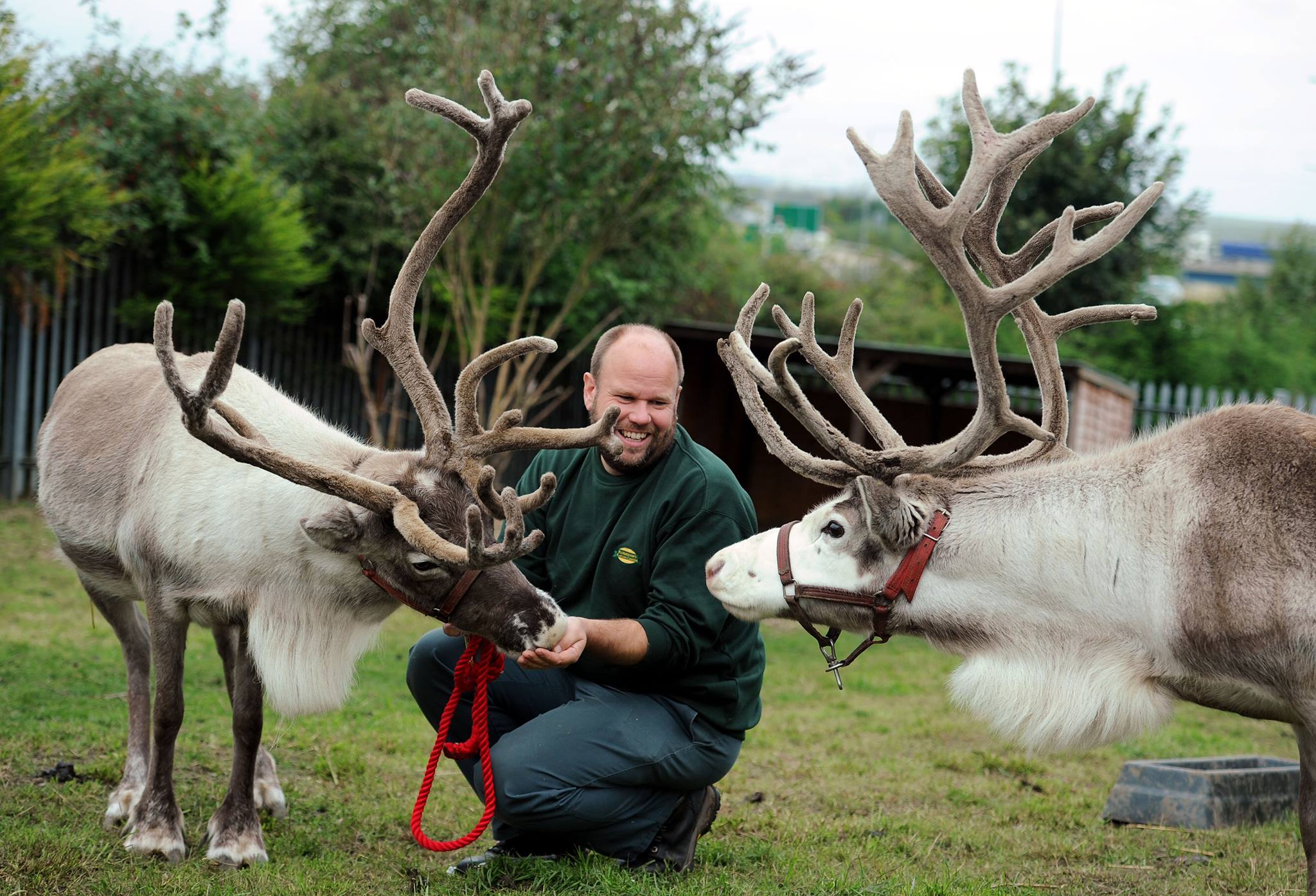 Hunters Countryside | Britain's Countryside Lifestyle Platform